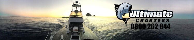 The Ultimate Charter Fishing Guide - M2 Magazine