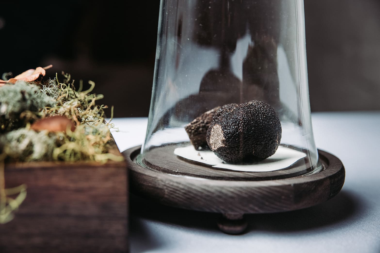 The Ever-Changing Face Of The Grove - M2 Magazine