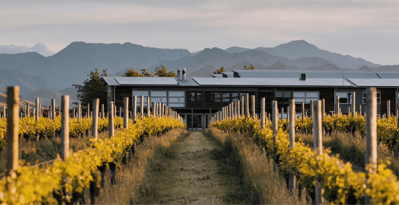 I Spy the Secret to Making Great Wine - M2 Magazine